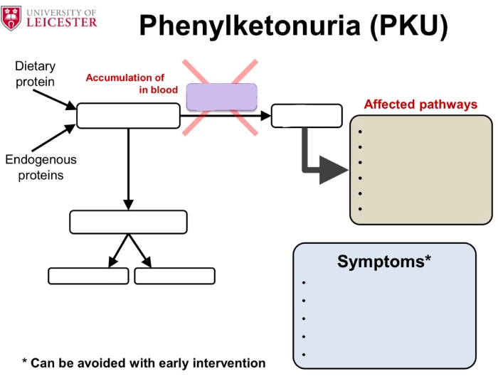Phenylketonuria Pku Quiz