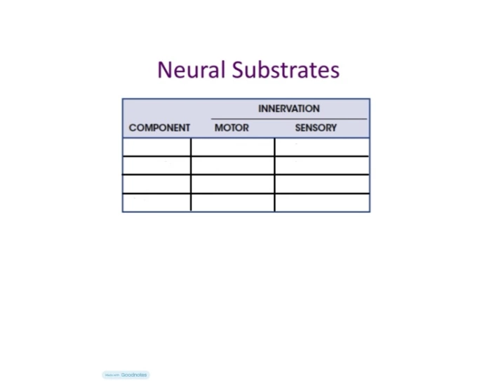 Neural Substrates Quiz