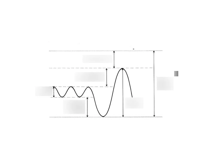 Label The Spirometer Trace Quiz