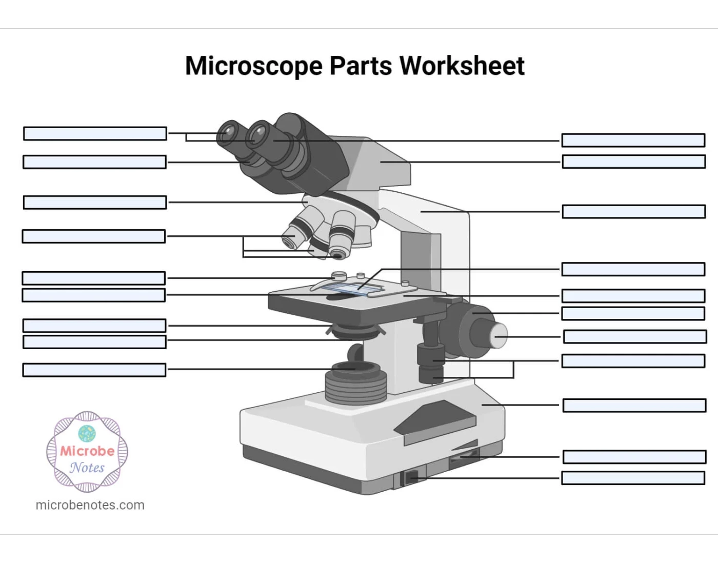 BIO LAB Quiz Microscope Parts BIO LAB Quiz Microscope Parts