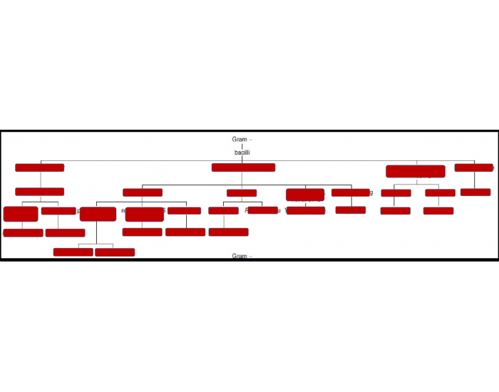 Gram Negative Rods Quiz gram-negative-rods-quiz