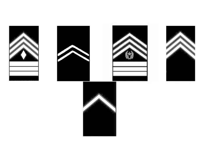 JROTC Rank Quiz jrotc-rank-quiz