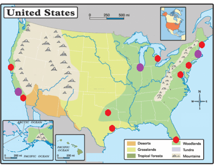 Statele Unite ale Americii (harta simpla) Quiz Statele Unite ale Americii (harta simpla) Quiz