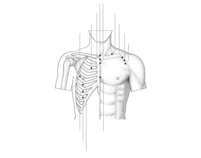 Major Acupuncture Points Of The Chest Quiz