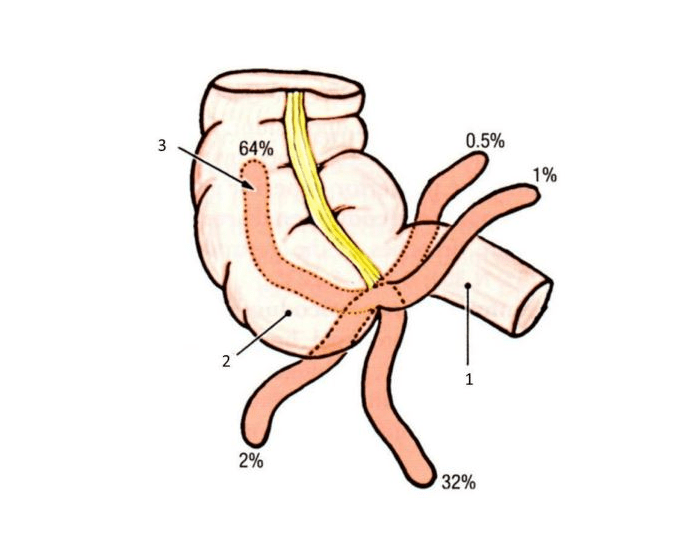 Appendix Positions Quiz