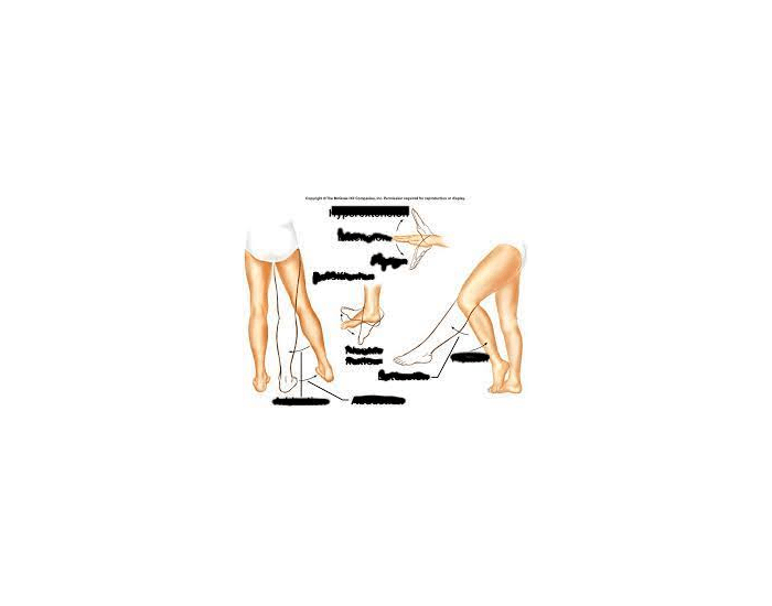 Types Of Joint Movements Quiz types-of-joint-movements-quiz