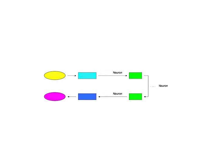 Stimulus Response Model Quiz