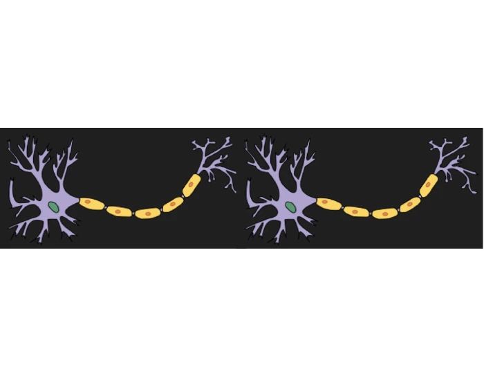 neural network Quiz neural network Quiz