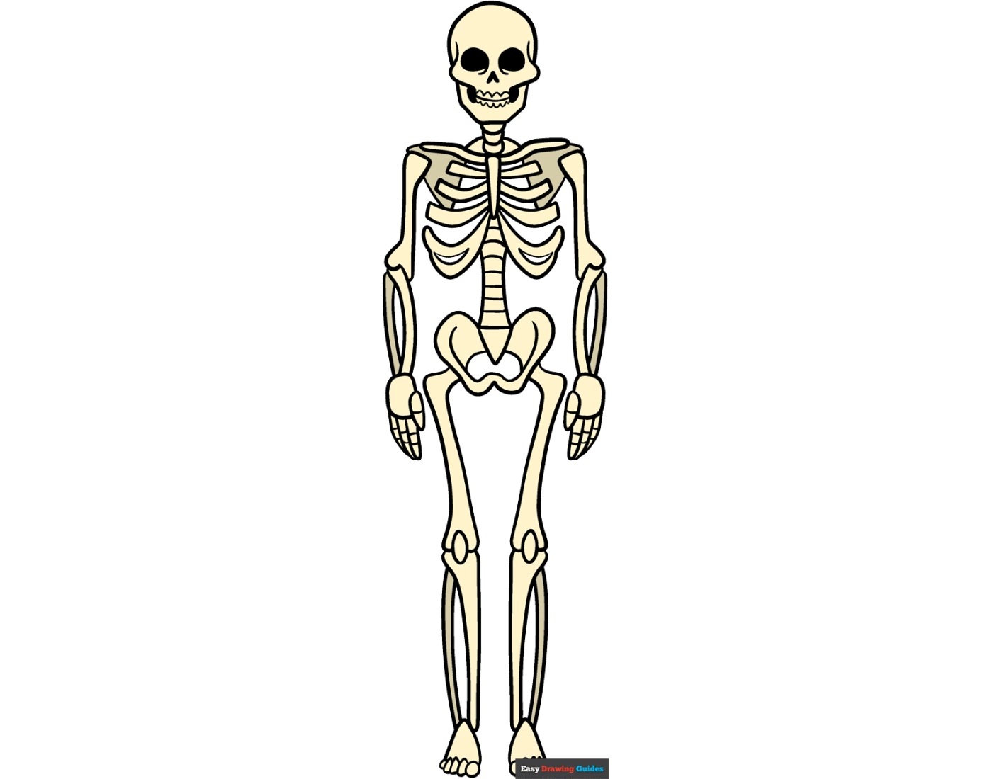 Major Bones Of The Body Quiz major-bones-of-the-body-quiz